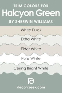 Halcyon Green SW-6213 by Sherwin Williams - DecorCreek