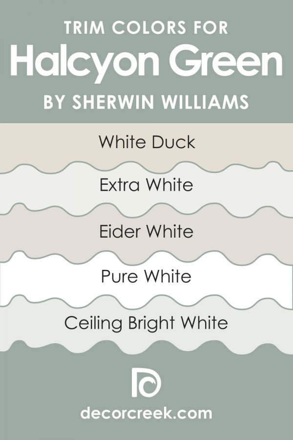 Halcyon Green SW-6213 by Sherwin Williams - DecorCreek