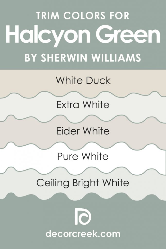 Halcyon Green SW-6213 by Sherwin Williams - DecorCreek