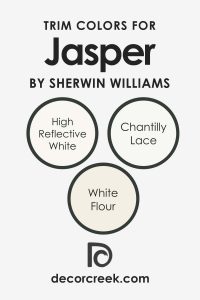 Jasper SW-6216 Paint Color By Sherwin-Williams