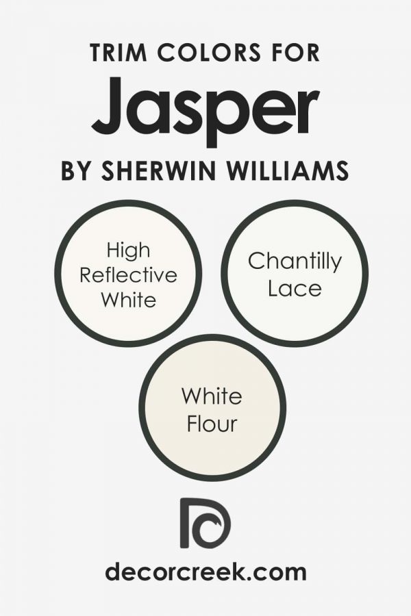 Jasper SW-6216 Paint Color By Sherwin-Williams