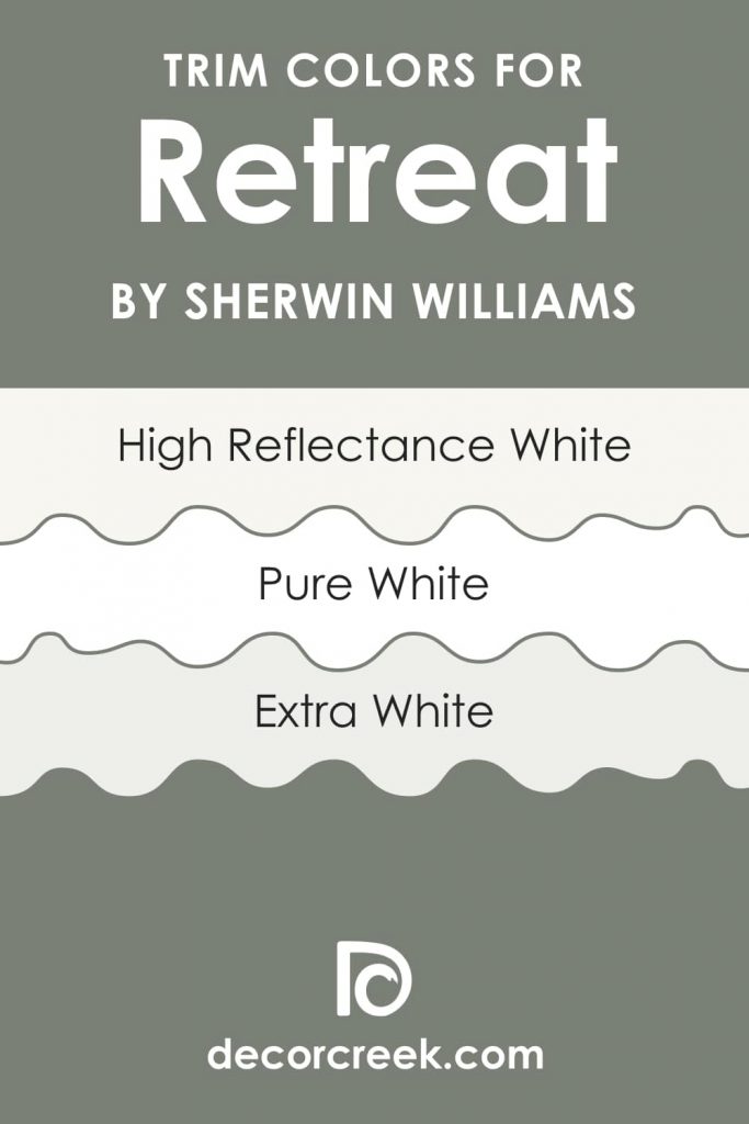 Retreat Paint Color SW-6207 by Sherwin - Williams