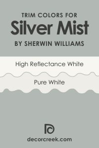Silver Mist SW-7621 Paint Color by Sherwin-Williams