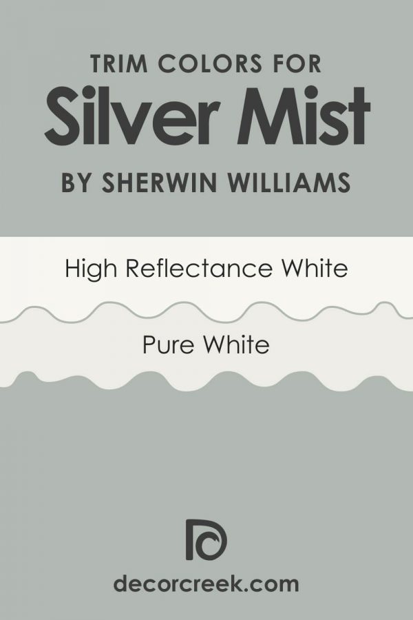 Silver Mist SW-7621 Paint Color by Sherwin-Williams