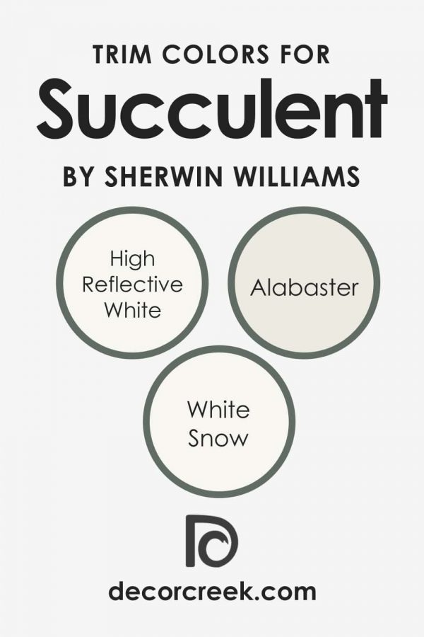 Succulent Paint Color SW-9650 By Sherwin-Williams