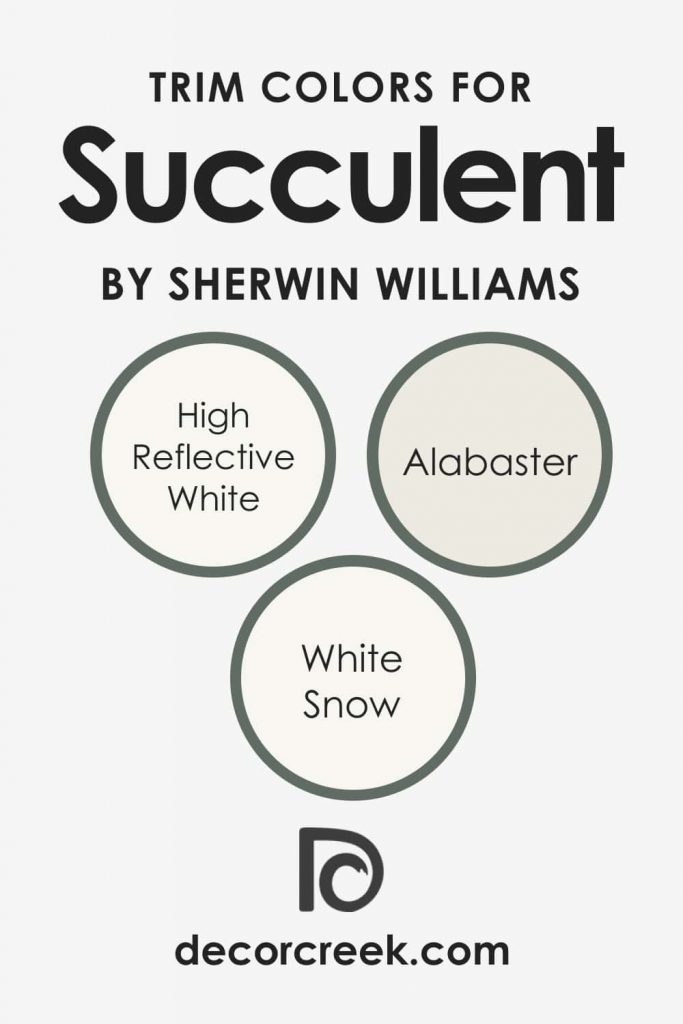 Succulent Paint Color SW-9650 By Sherwin-Williams