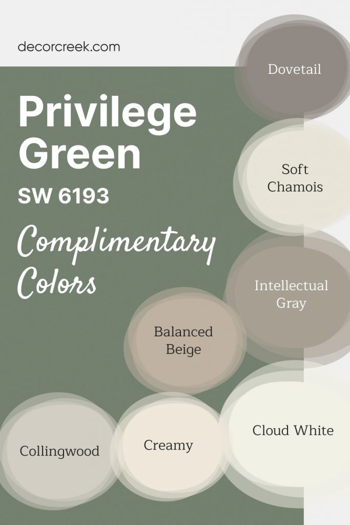 Privilege Green SW 6193 Paint Color by Sherwin-Williams
