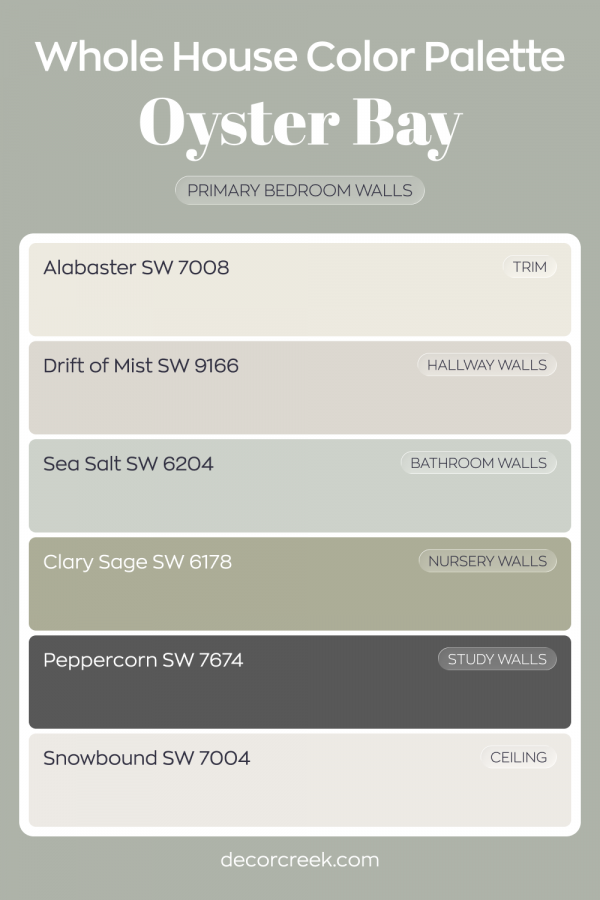 Oyster Bay SW-6206 by Sherwin-Williams - DecorCreek