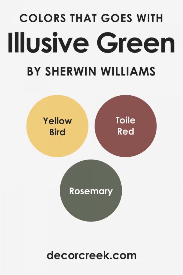 Illusive Green SW-9164 Paint Color by Sherwin-Williams