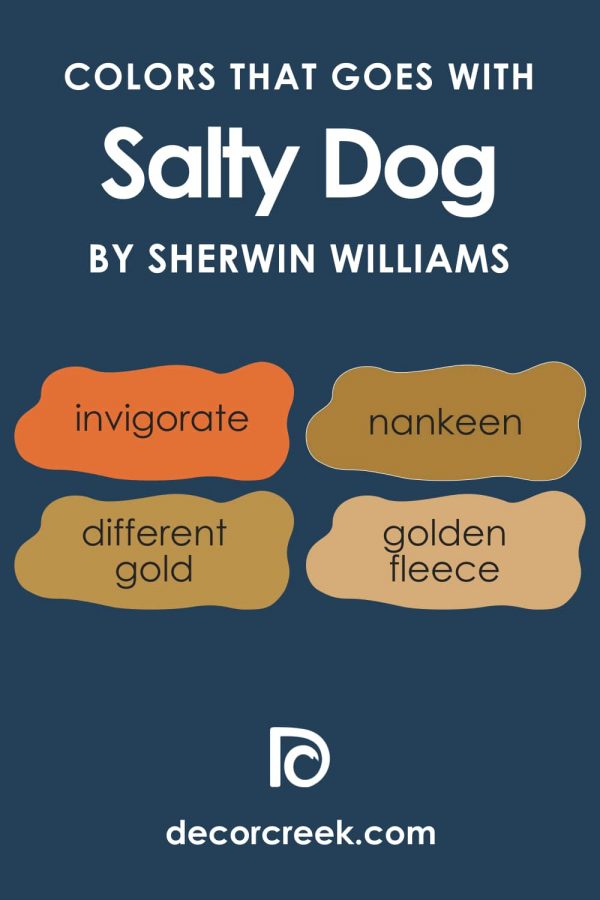Salty Dog SW-9177 Paint Color by Sherwin-Williams