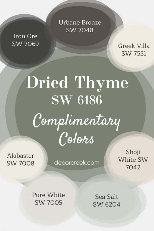 Dried Thyme SW-6186 Paint Color by Sherwin-Williams