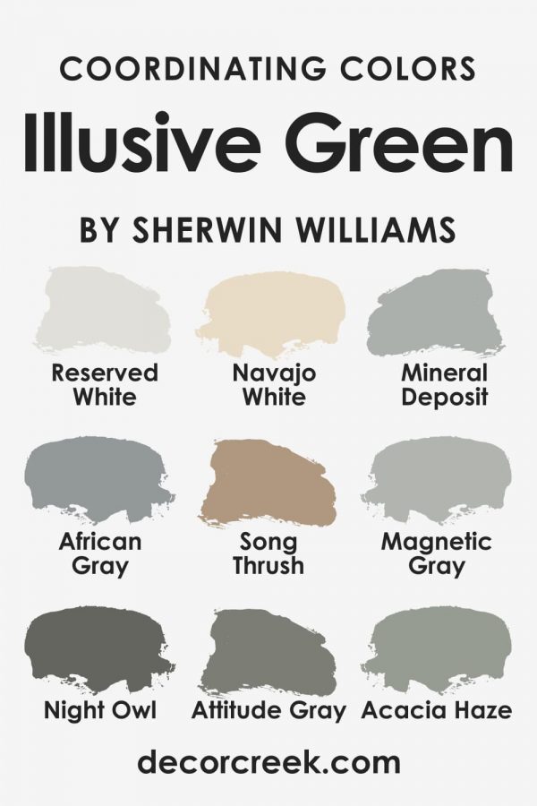Illusive Green SW-9164 Paint Color by Sherwin-Williams