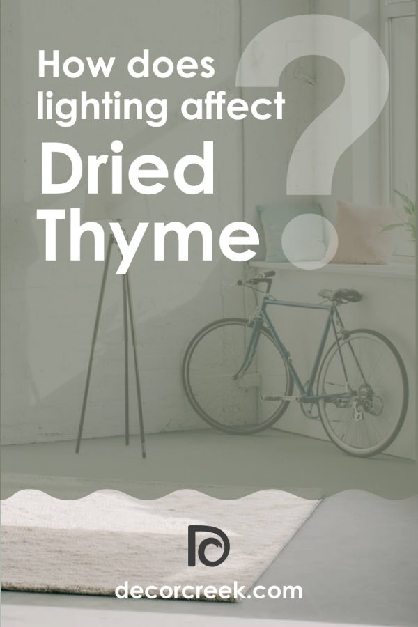 Dried Thyme SW-6186 Paint Color by Sherwin-Williams