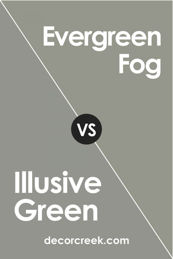 Illusive Green SW-9164 Paint Color by Sherwin-Williams