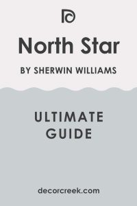 North Star SW-6246 Paint Color by Sherwin-Williams