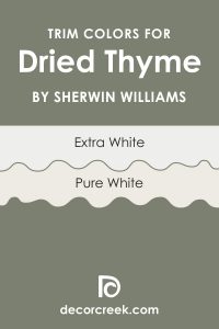 Dried Thyme SW-6186 Paint Color by Sherwin-Williams