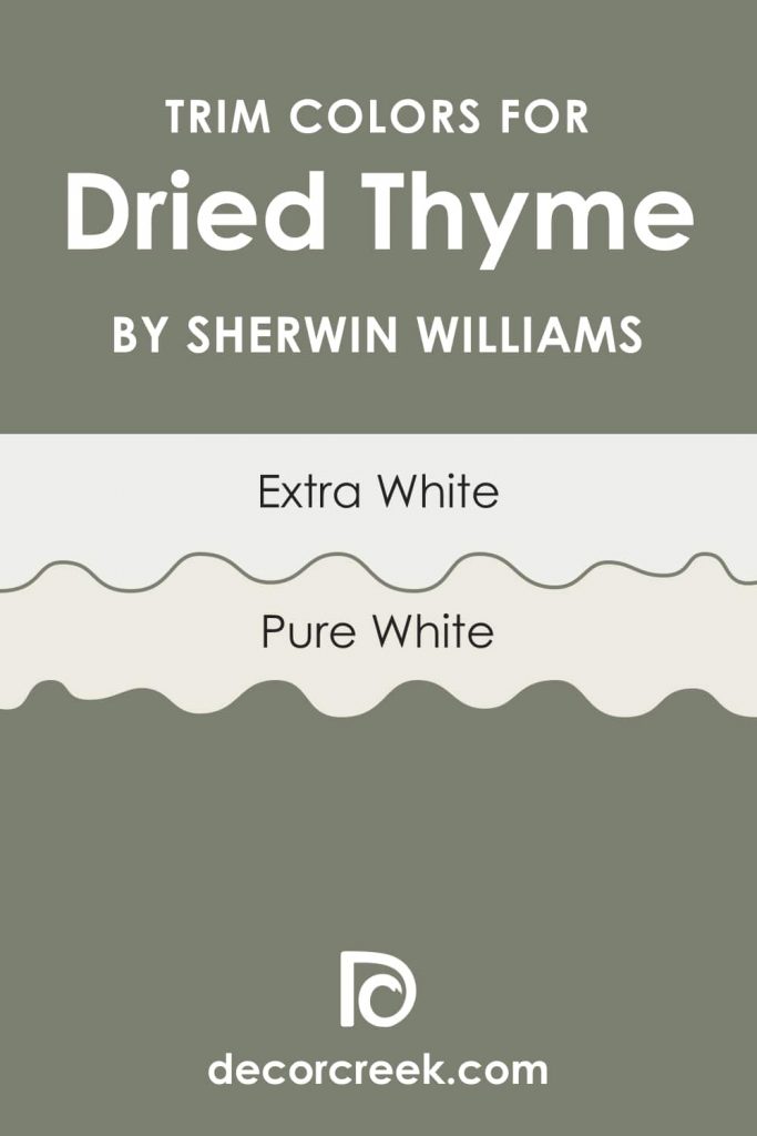 Dried Thyme SW-6186 Paint Color by Sherwin-Williams