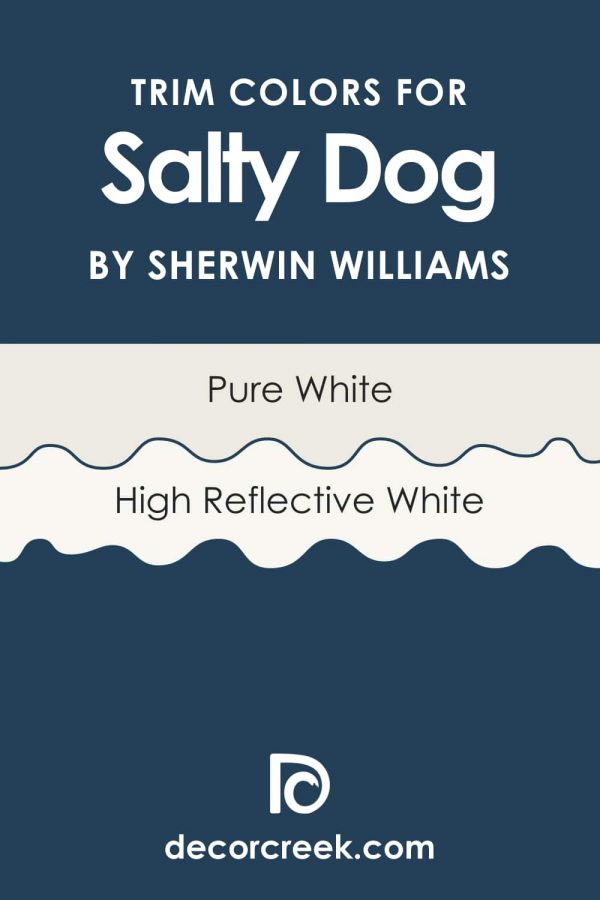 Salty Dog SW-9177 Paint Color by Sherwin-Williams