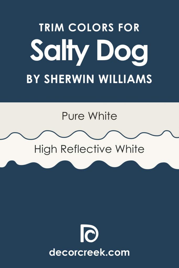 Salty Dog SW-9177 Paint Color by Sherwin-Williams