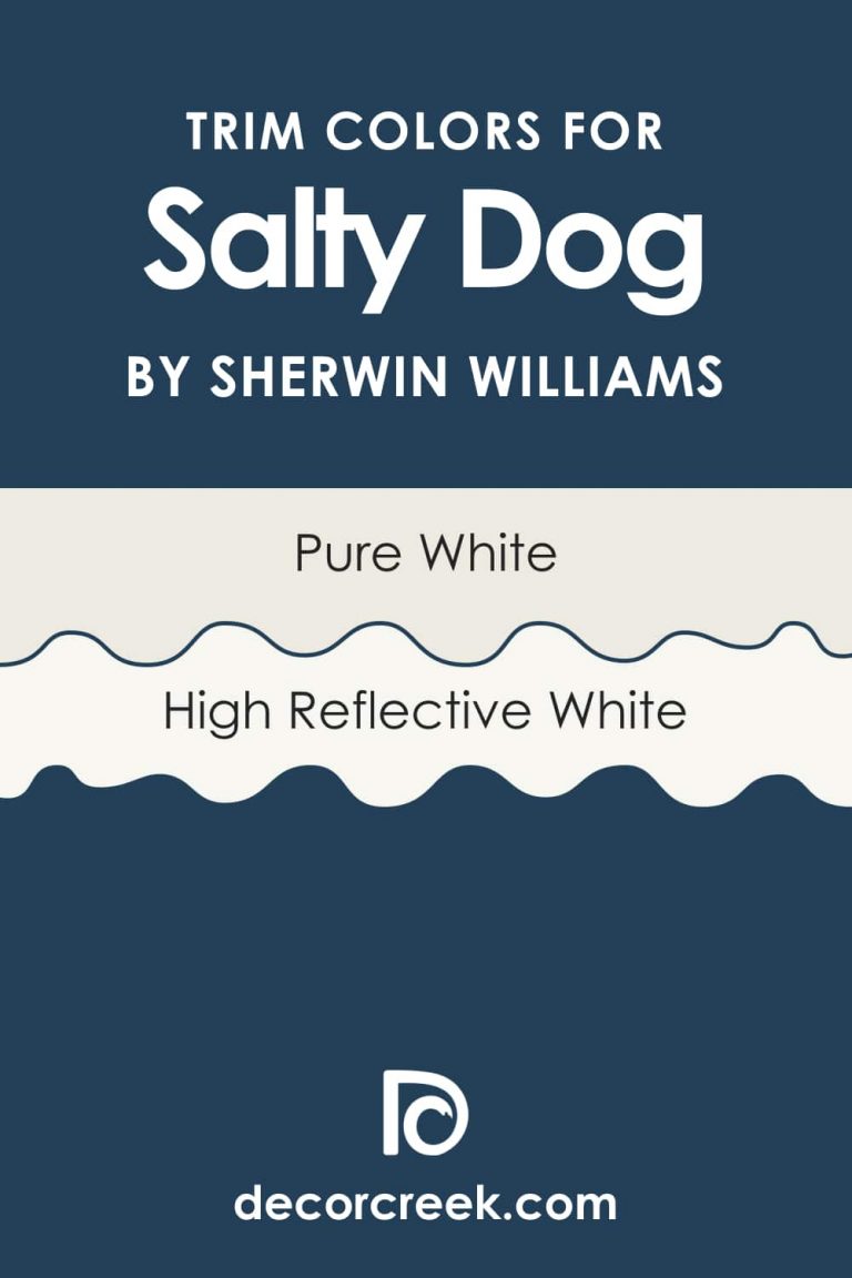Salty Dog SW-9177 Paint Color by Sherwin-Williams