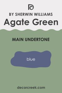 Agate Green SW 7742 Paint Color by Sherwin-Williams