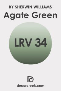 Agate Green SW 7742 Paint Color by Sherwin-Williams