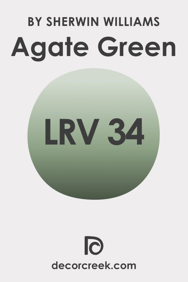 Agate Green SW 7742 Paint Color by Sherwin-Williams