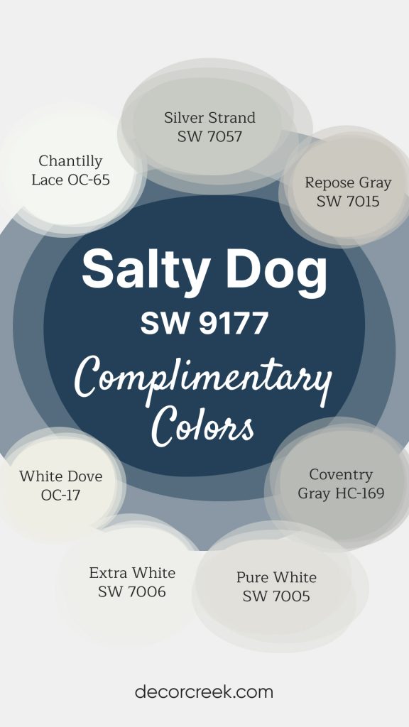 Salty Dog SW-9177 Paint Color by Sherwin-Williams