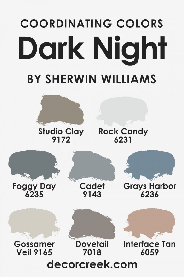 Dark Night SW 6237 Paint Color by Sherwin-Williams