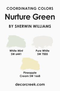 Nurture Green SW 6451 Paint Color by Sherwin-Williams