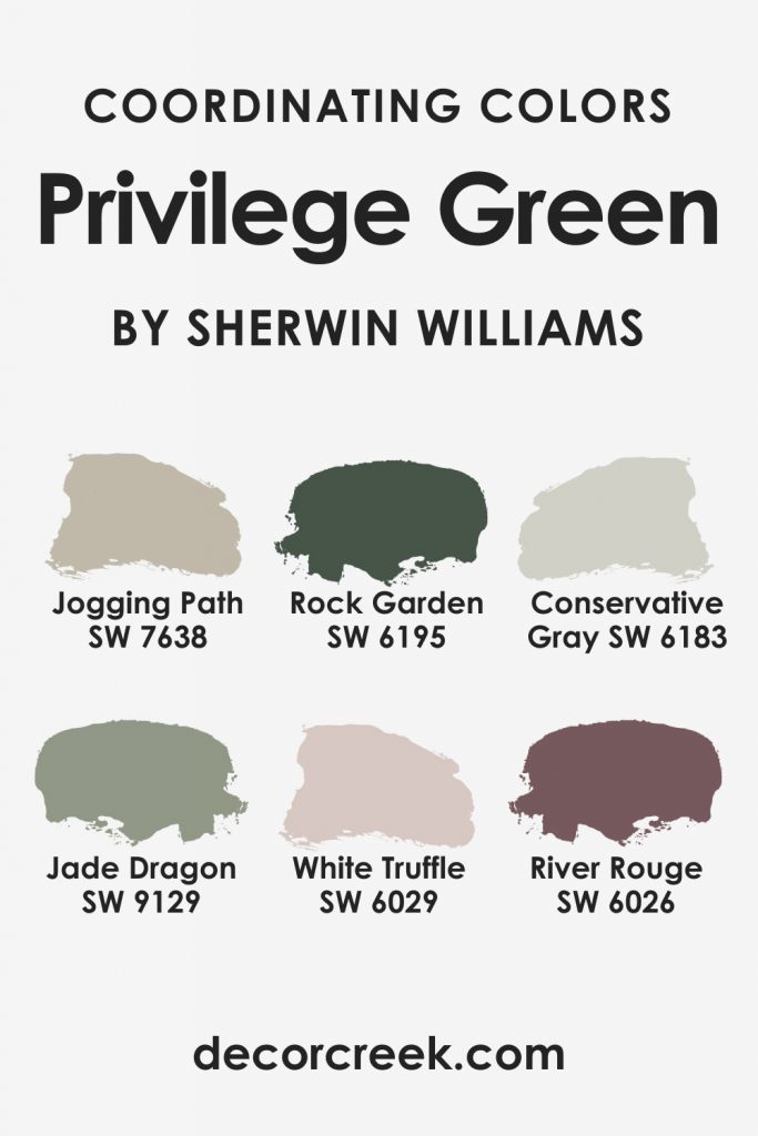 Privilege Green SW 6193 Paint Color by Sherwin-Williams