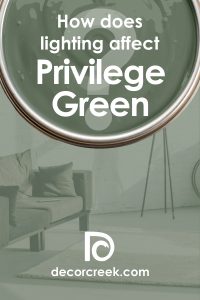 Privilege Green SW 6193 Paint Color by Sherwin-Williams