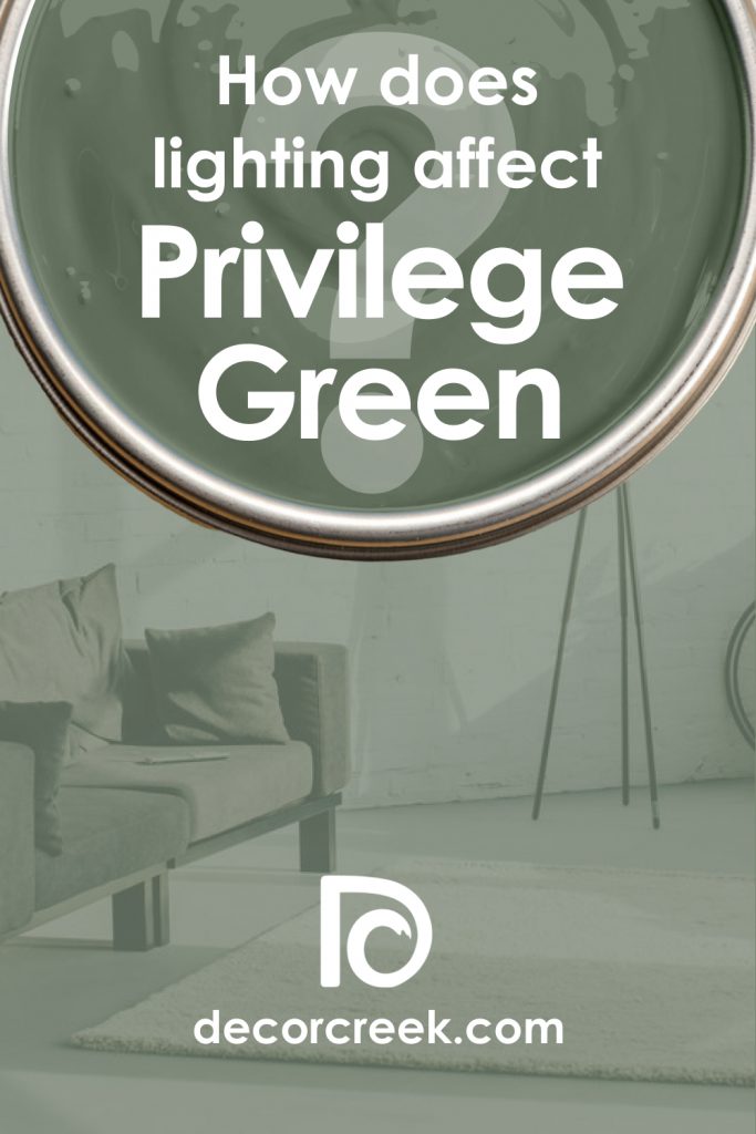 Privilege Green SW 6193 Paint Color by Sherwin-Williams