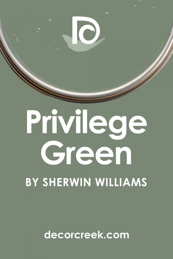 Privilege Green SW 6193 Paint Color by Sherwin-Williams
