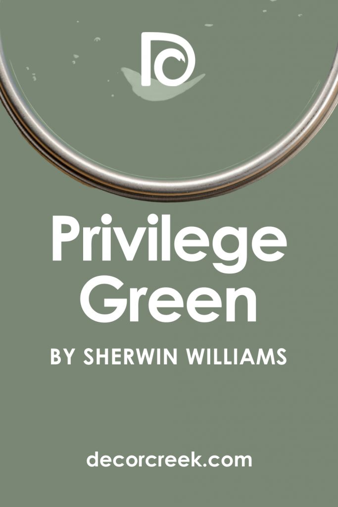 Privilege Green SW 6193 Paint Color by Sherwin-Williams