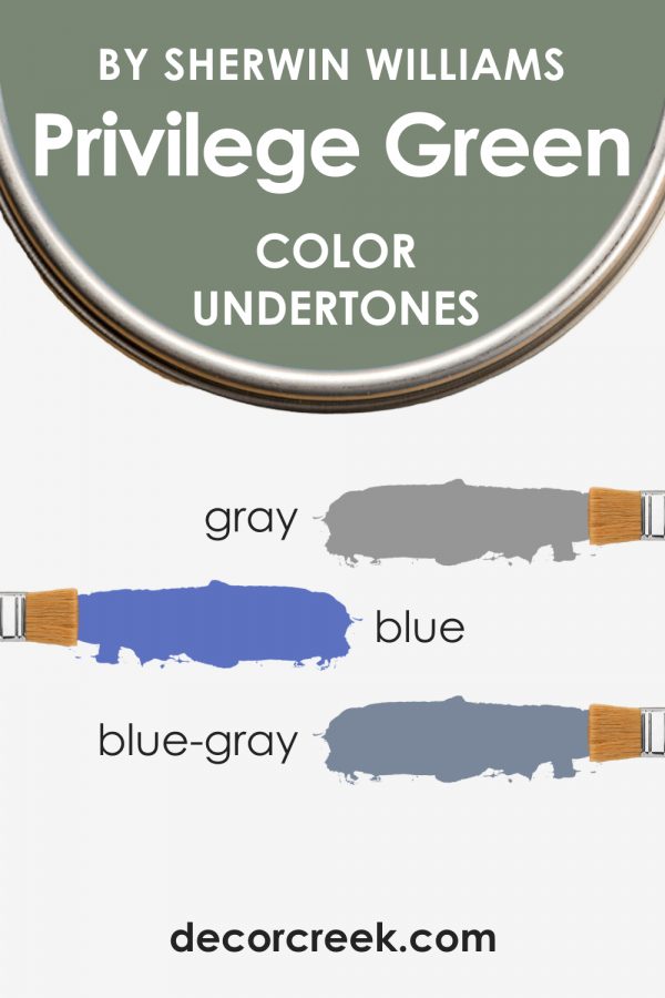 Privilege Green SW 6193 Paint Color by Sherwin-Williams