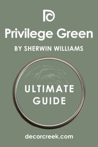 Privilege Green SW 6193 Paint Color by Sherwin-Williams