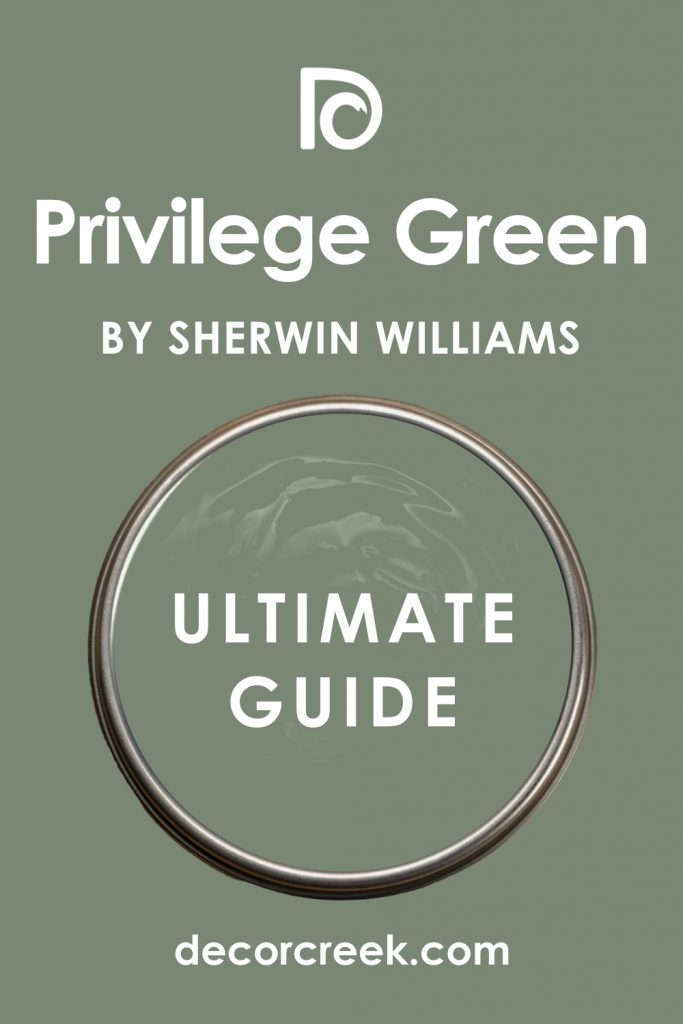 Privilege Green SW 6193 Paint Color by Sherwin-Williams