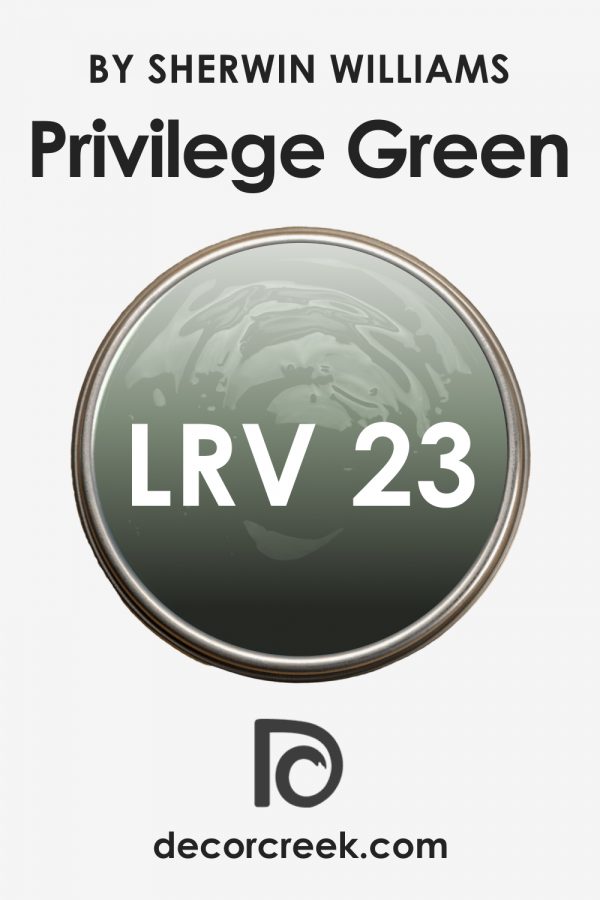Privilege Green SW 6193 Paint Color by Sherwin-Williams