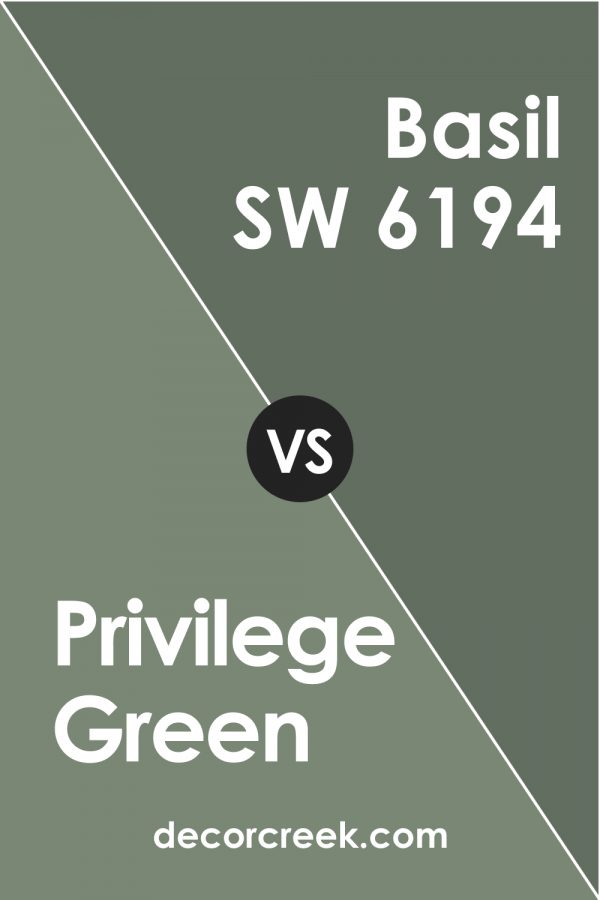 Privilege Green SW 6193 Paint Color by Sherwin-Williams