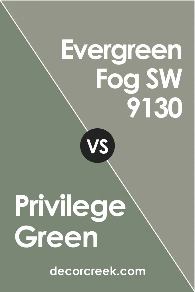 Privilege Green SW 6193 Paint Color by Sherwin-Williams