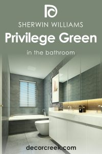 Privilege Green SW 6193 Paint Color by Sherwin-Williams