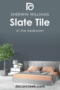 Slate Tile SW-7624 Paint Color by Sherwin-Williams