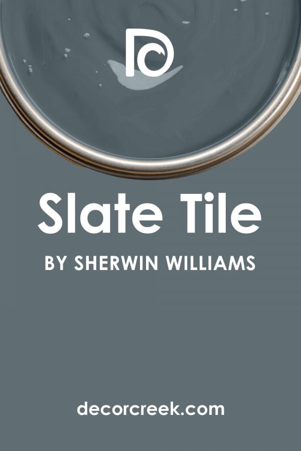 Slate Tile SW-7624 Paint Color by Sherwin-Williams