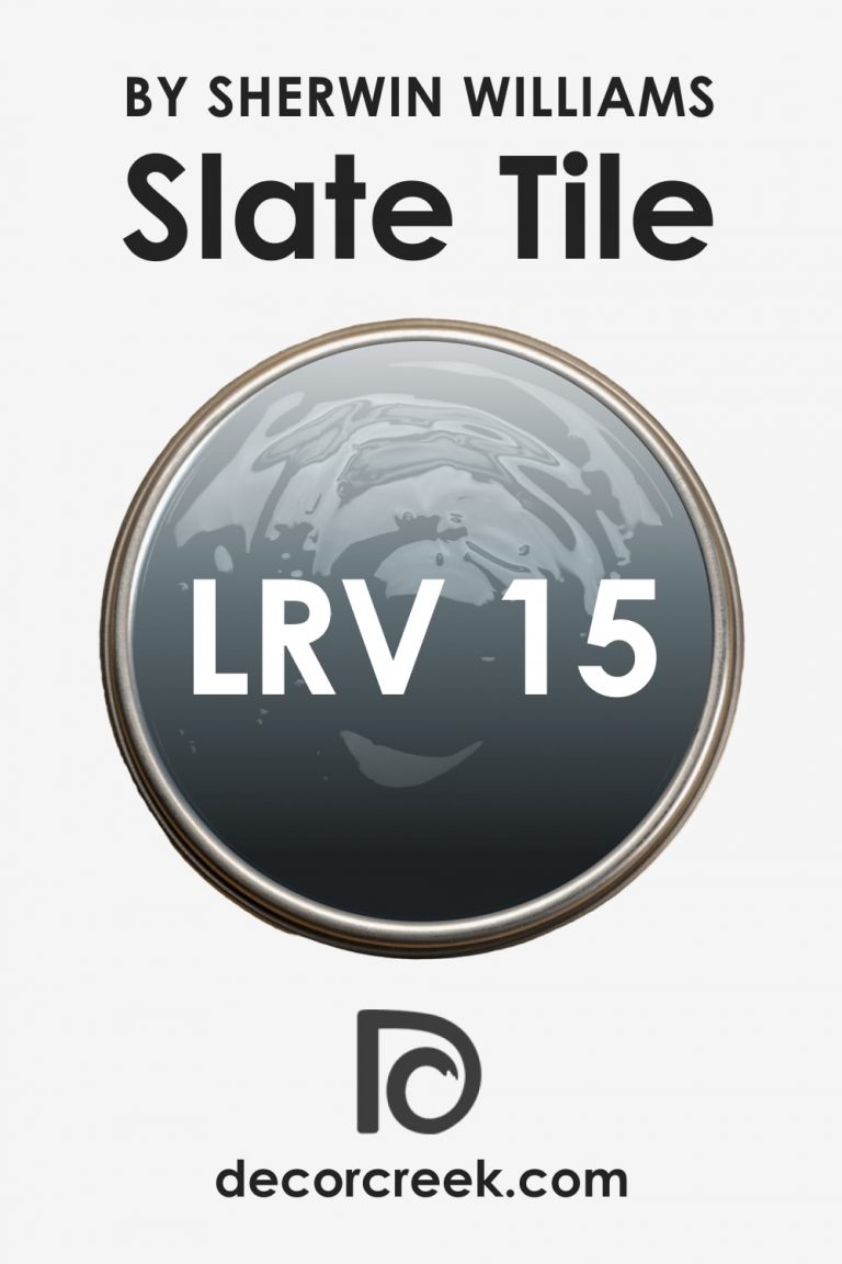 Slate Tile SW-7624 Paint Color by Sherwin-Williams