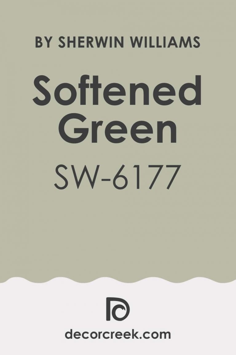 Softened Green SW-6177 Paint Color by Sherwin-Williams