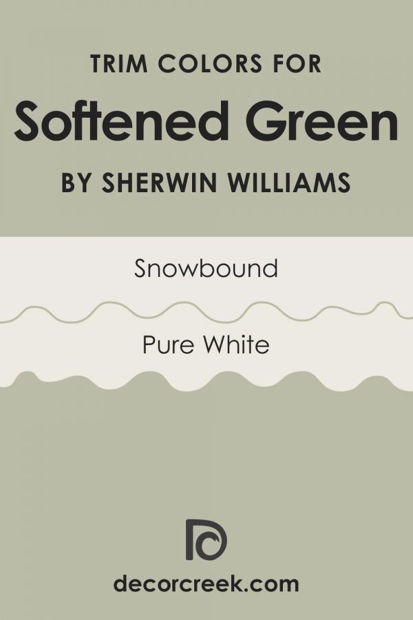 Softened Green SW-6177 Paint Color by Sherwin-Williams