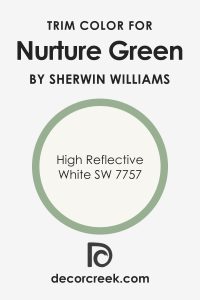 Nurture Green SW 6451 Paint Color by Sherwin-Williams