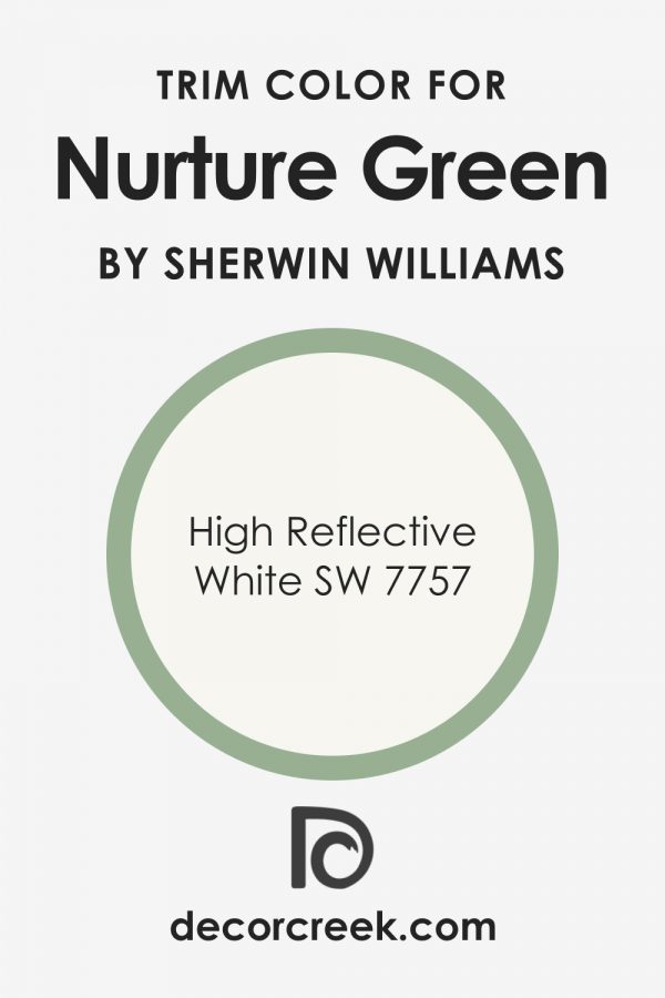 Nurture Green SW 6451 Paint Color by Sherwin-Williams