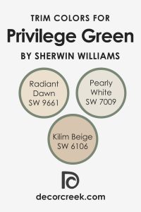 Privilege Green SW 6193 Paint Color by Sherwin-Williams
